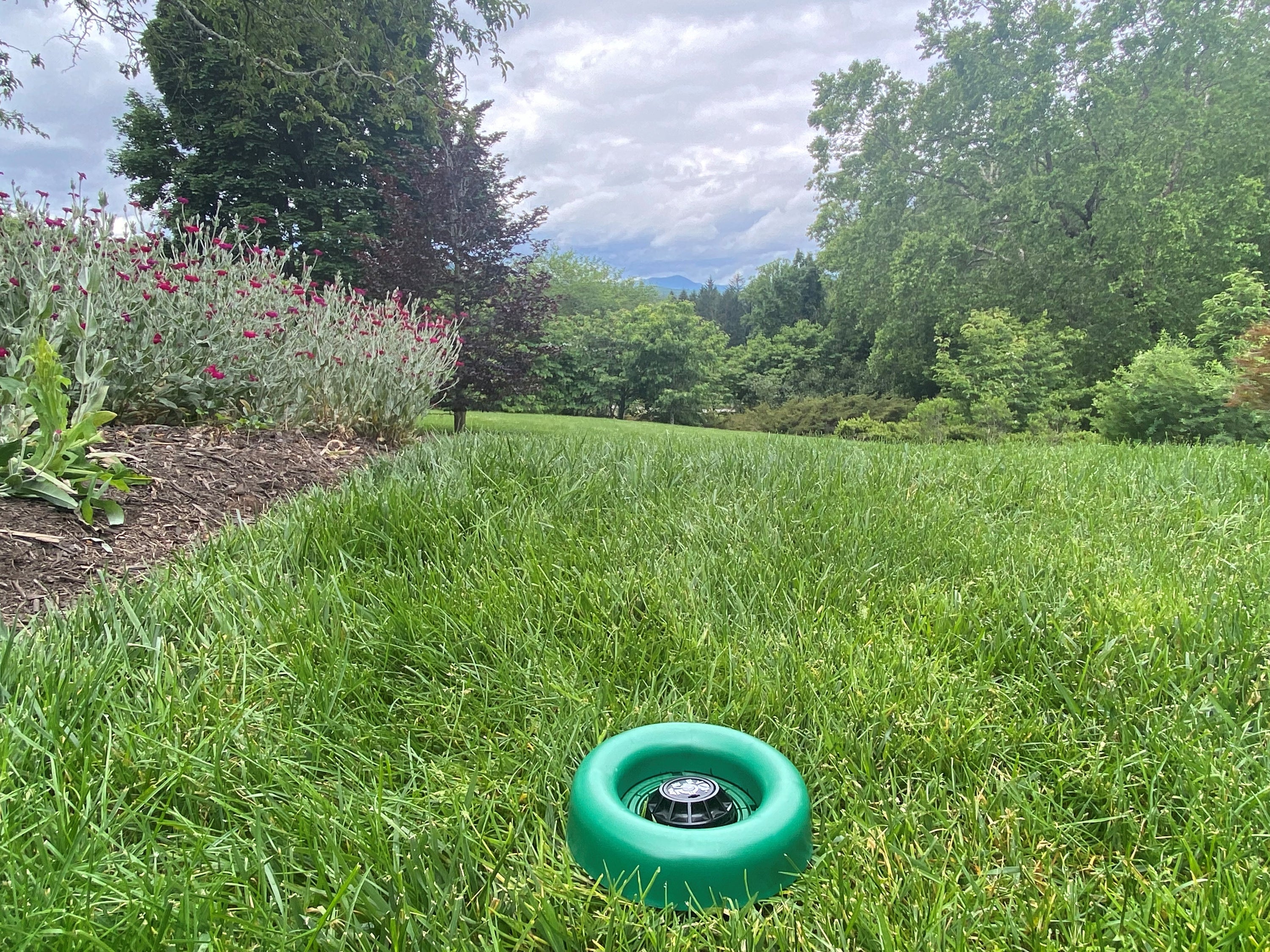 The Ultimate Sprinkler Head Protection & Guard – The Sprinkler Protector